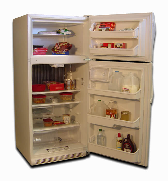 EZ Freeze 19 Cubic Foot Stainless Steel Gas Refrigerator